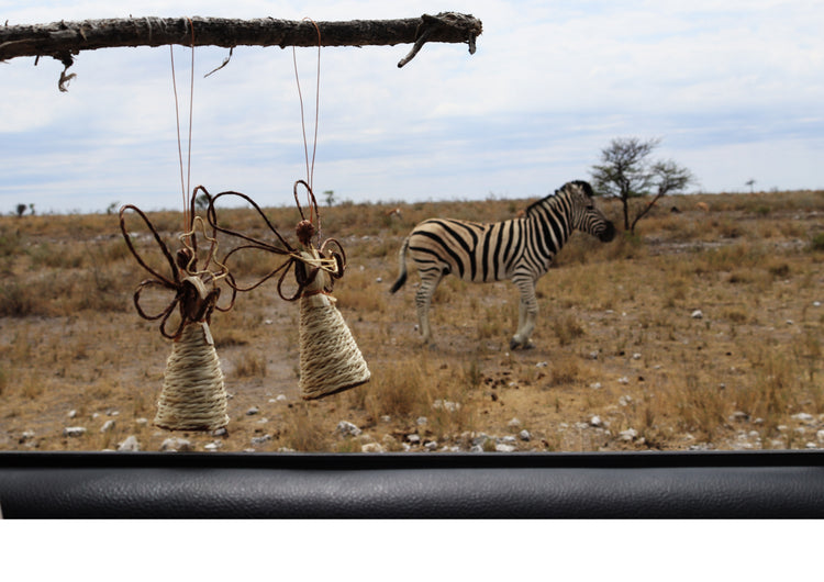 The Narrative Namibia